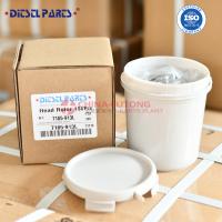 China Hydraulic Head 7185-913L Factory Price Diesel Fuel Pump Hydraulic DPA Head Rotor 7185-913L for sale