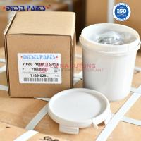 China Hydraulic Head 7189-039L Factory Price Diesel Fuel Pump Hydraulic DPA Head Rotor 7189-039L wholesale for sale