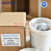 China Hydraulic Head 7189-039L Factory Price Diesel Fuel Pump Hydraulic DPA Head Rotor 7189-039L wholesale for sale