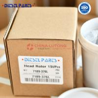China Hydraulic Head 7189-376L factory Price Diesel Fuel Pump Hydraulic DPA Head Rotor 7189-376L wholesale price for sale