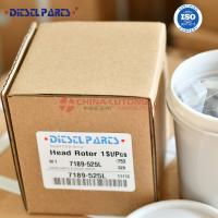 China Hydraulic Head 7189-525L factory Price Diesel Fuel Pump Hydraulic DPA Head Rotor7189-525L wholesale factory sale price for sale