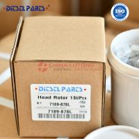 China Hydraulic Head 7189-878L factory Price Diesel Fuel Pump Hydraulic DPA Head Rotor 7189-878L wholesale factory sale price for sale