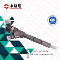 China 0445110307 for  common rail injector manufacturers 0 445 110 307 Common Rail Injector 5263308 for sale