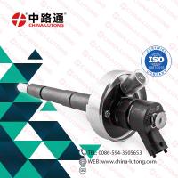 China Common Fuel Injector 0445110315 for  common rail injector suppliers 0 445 110 315 CR Injector Assembly for sale