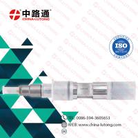 China fit for  common rail marine injectors 0 445 120 044 Diesel Fuel Common Rail Injector Assembly for sale