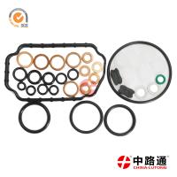 China Common Rail Injector Repair Kits 1 417 010 059 for bos-ch common rail injector repair kits for sale