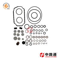 China diesel injector pump repair kits 1 467 010 467 for Z-exel Pumps Repair kits for sale