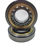 China OEM Seals Type Cylindrical Roller Bearing N204 N204m for Car Gearbox 20X47x14 Structure for sale