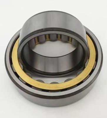 China NN3018K NN3019K NN3020K NN3021K Double Row Cylindrical Roller Bearings for Bearing Steel for sale