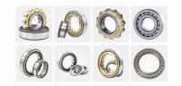 China P5 Precision Rating NJ220 Cylindrical Roller Bearing for Heavy Duty Applications for sale