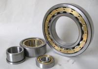 China P5 Precision Rating NJ220 Cylindrical Roller Bearing for Heavy Duty Applications for sale