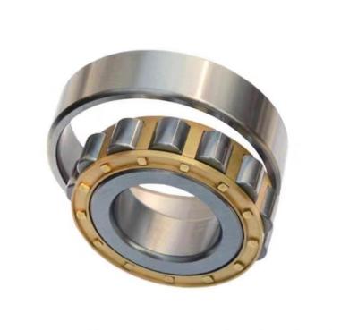 China SL 18 2209 Cylindrical Roller Bearing with Steel Cage and Large Production Capability for sale