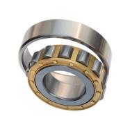 China SL04 5019 Cylindrical Roller Bearing 95x145x67mm for Home and Excellent Performance for sale