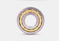 China SL04 5019 Cylindrical Roller Bearing 95x145x67mm for Home and Excellent Performance for sale