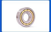 China SL04 5019 Cylindrical Roller Bearing 95x145x67mm for Home and Excellent Performance for sale