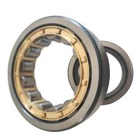 China Oil Grease Lubrication SL04 5040 PP Cylindrical Bearings for Precision Applications for sale