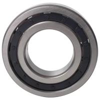 China Oil Grease Lubrication SL04 5040 PP Cylindrical Bearings for Precision Applications for sale