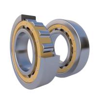 China Long Life High Speed Seals Type OEM Cylindrical Roller Bearing NU224 with Low Noise for sale