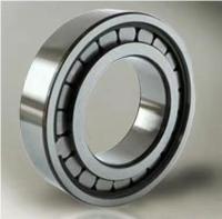China Long Life High Speed Seals Type OEM Cylindrical Roller Bearing NU224 with Low Noise for sale