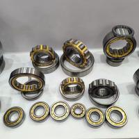 China Building Material Shops Cylindrical Roller Bearing RN205M for Cycloidal Gear Reducers for sale