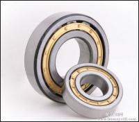 China NF213 Brass Cage Cylindrical Roller Bearing for Machinery Farm and Printing Industries for sale