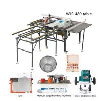 China 120mm Side Saw Diameter WJS480 Sliding Table Panel Saw Machine For Woodworking Furniture for sale