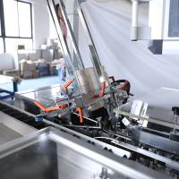 China ruiting Pharmaceutical Cartoning Machine , cosmetic alu blister packing machine for sale