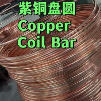 China Extruded Copper Coil Bar Oxygen-Free Copper  C11000/C10100 Copper Rod for Solar Energy Systems for sale