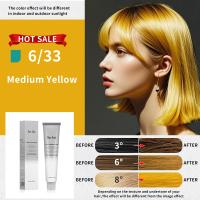 China Hair Dye Factory  Japan-Style 100ml Professional Salon Hair Dye Natural Herbal Permanent Hair Coloring Cream OEM for sale