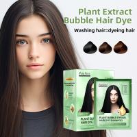 China OEM Fast Black Organic Bubble Hair  Dye Shampoo  Herbal Formula Hair Dye Factory Wholesale for sale