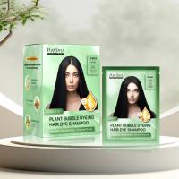 China Factory Supply Fast Black Organic Bubble Hair Dye Shampoo 300ml Cream OEM Safe for Sensitive Skin Home Use MOQ 5000 PCS for sale