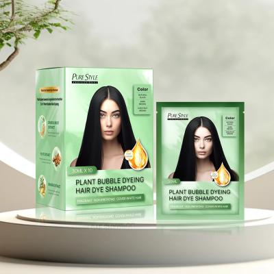 China Factory Supply Fast Black Organic Bubble Hair Dye Shampoo 300ml Cream OEM Safe for Sensitive Skin Home Use MOQ 5000 PCS for sale