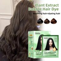 China Factory Supply Fast Black Organic Bubble Hair Dye Shampoo Herbal Formula Black Hair Dye OEM Available for sale