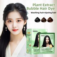 China Plant Hair Dye Shampoo Fast Gray Coverage Bubble Color for Home OEM Available Professional Hair Color Manufacturer Supply for sale