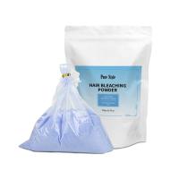 China PureStyle Professional Salon Hair Bleaching Powder Gentle Non Irritating Dust Free OEM Hair Dye Factory Supply for sale