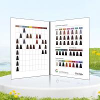 China Purestyle OEM  Hair Color Swatch Chart 47 Colors Professional For Salons for sale