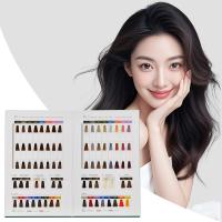 China Custom Professional Salon Hair Color Chart OEM/ODM Hot Sale Book with Permanent Fashion Protein Hair Dye Colors for sale