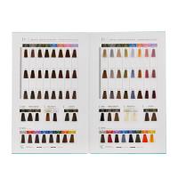 China Custom Professional Salon Hair Color Chart OEM/ODM Hot Sale Book with Permanent Fashion Protein Hair Dye Colors for sale