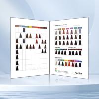 China Purestyle Premium Quality Professional Hair Color Chart 47 Colors for Salons OEM ODM for sale
