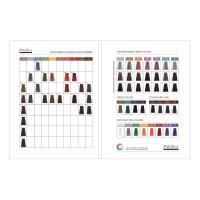 China Purestyle Hair Color Chart 47 Colors Professional For Salons for sale