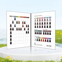 China Purestyle Hair Color Chart 47 Colors Professional For Salons for sale
