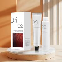 China Factory Peroxide Cream Semi Permanent Hair Dye Kit Ammonia Free for Home OEM Available for sale