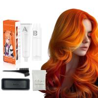 China Hair Dye Factory Wholesale Permanent Home Hair Dye Herbal Formula Harmless Non Irritating OEM Available for sale