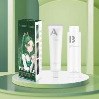 China Custom Professional Home Hair Dye Cream Permanent Ammonia Free OEM Hair Color Manufacturer Supply for sale