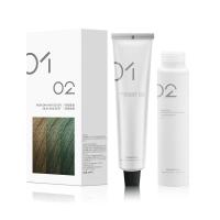 China Home Hair Dyeing Cream Kit Ammonia Free with Preoxide Cream Permanent Hair Dye OEM MOQ 5000 PCS for sale