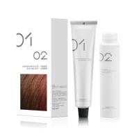 China Semi Permanent Peroxide Hair Dye Kit Ammonia Free for Home Organic Hair Colour OEM for sale