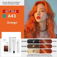 China Semi Permanent Peroxide Hair Dye Kit Ammonia Free for Home Organic Hair Colour OEM for sale