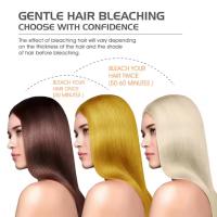 China Salon Hair Color Removers Peroxide Hair Lightening Bleach Powder Ammonia Free 9 Level  OEM Factory Wholesle for sale