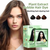 China Plant Hair Dye Shampoo Fast Gray Coverage Factory Supply Bubble Color for Home Use Black Hair Dye Shampoo OEM MOQ 5000PCS for sale