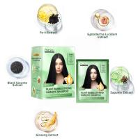 China Hair Dye Factory Supply Black Hair Dye Plant Hair Dye Shampoo Fast Gray Coverage Bubble Color Easy Application OEM for sale